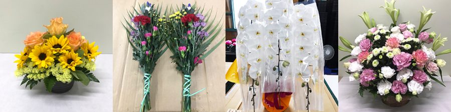 花き加工 | 開花白菊ならBACK FLOWERへ